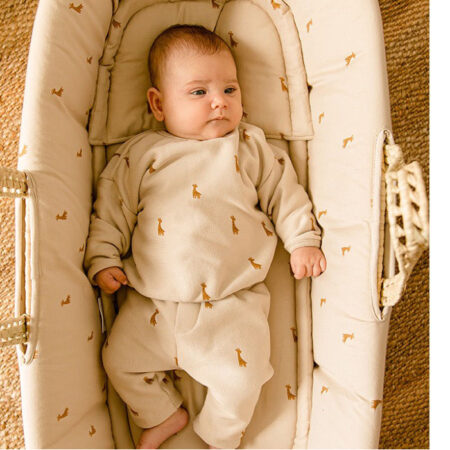 Cesta culla in vimini per neonati